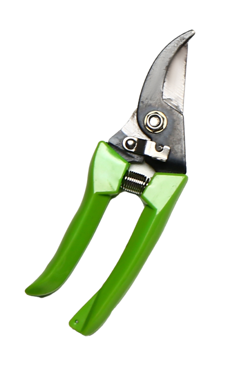 About Us - Burnt Cake